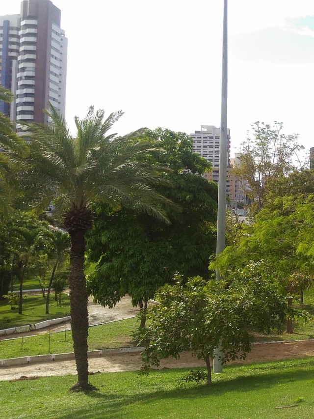 Conheça 4 parques em Fortaleza - QuintoAndar Guias