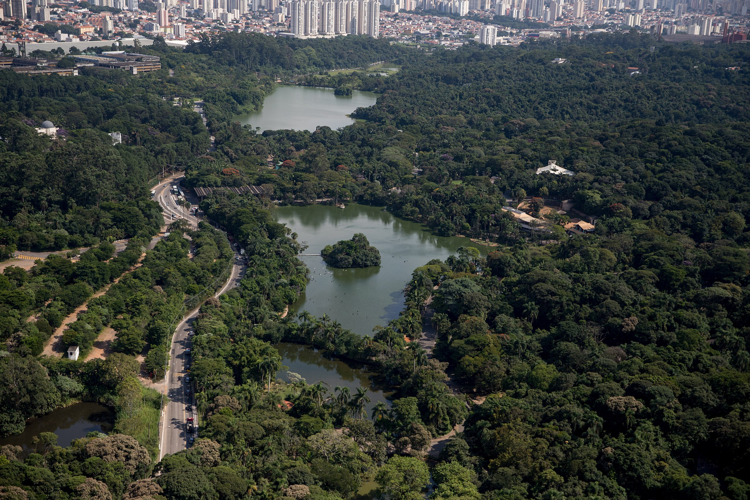 Zoológico de São Paulo: conheça o maior zoológico do Brasil