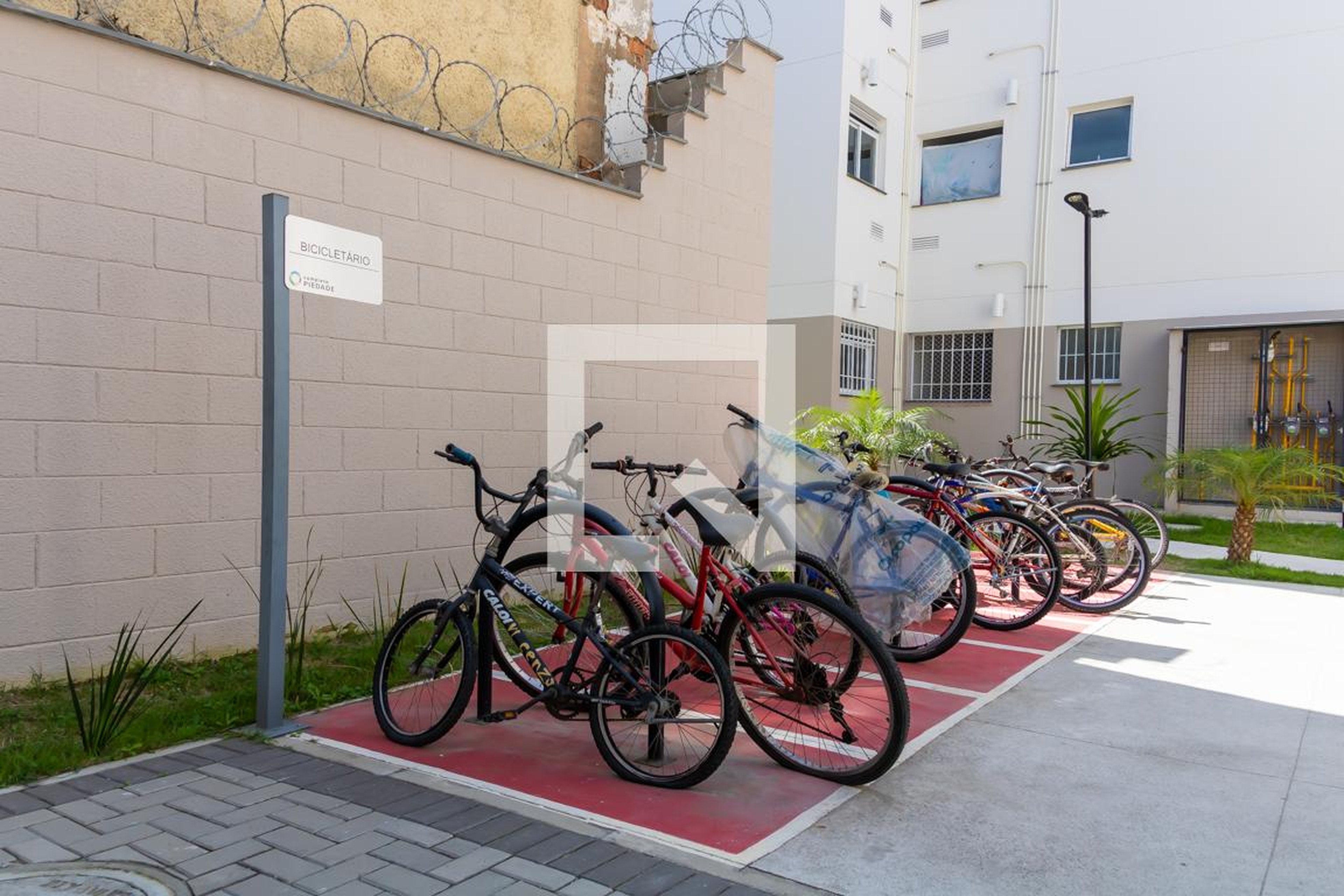 Residencial Completo Piedade, Piedade - Rio de Janeiro - Alugue ou ...