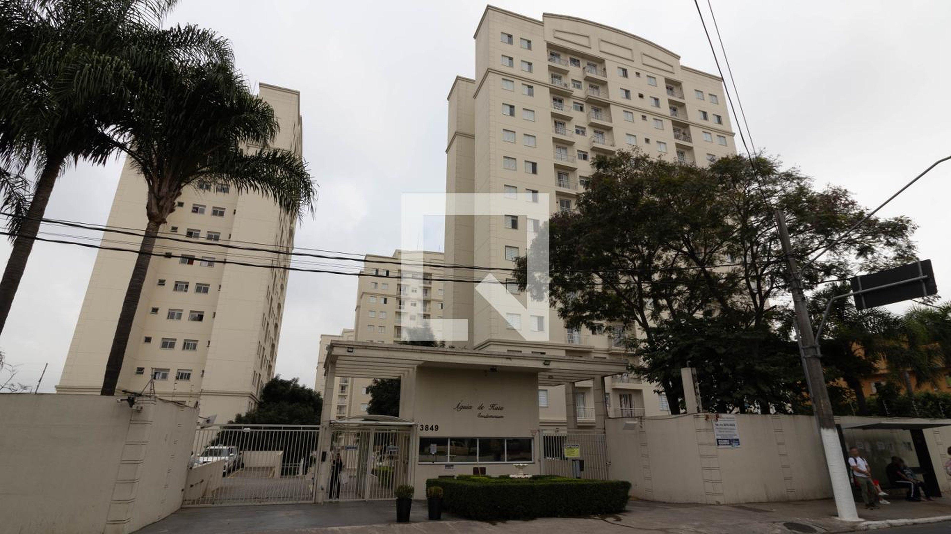 Condomínio Águia de Haia, Ponte Rasa - São Paulo - Alugue ou Compre ...