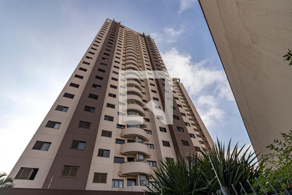 Condomínio New Century Quality, Cambuci - São Paulo - Alugue ou Compre ...